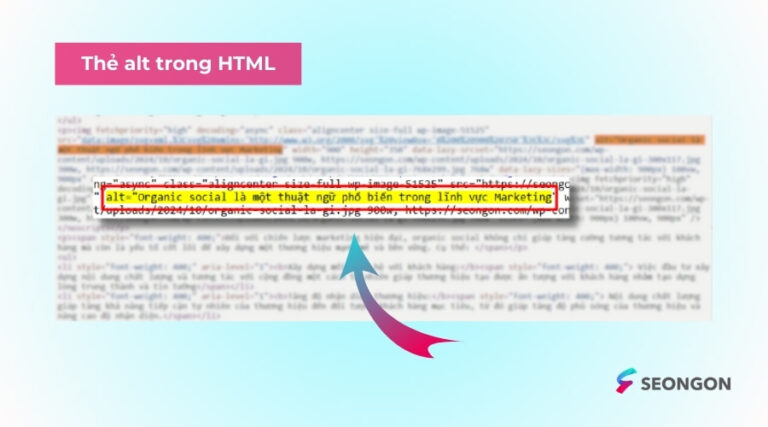 Thẻ alt là gì? Cách tối ưu thẻ alt chuẩn SEO